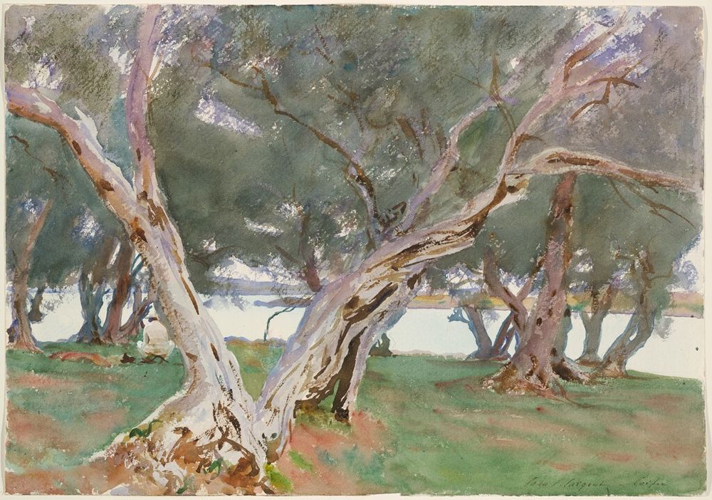 Olive Trees, Corfu | John Singer Sargent | MLTSHP