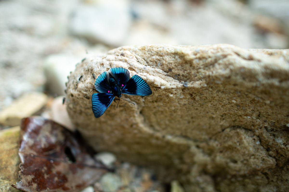 What did you do on your summer vacation...? | MLTSHP