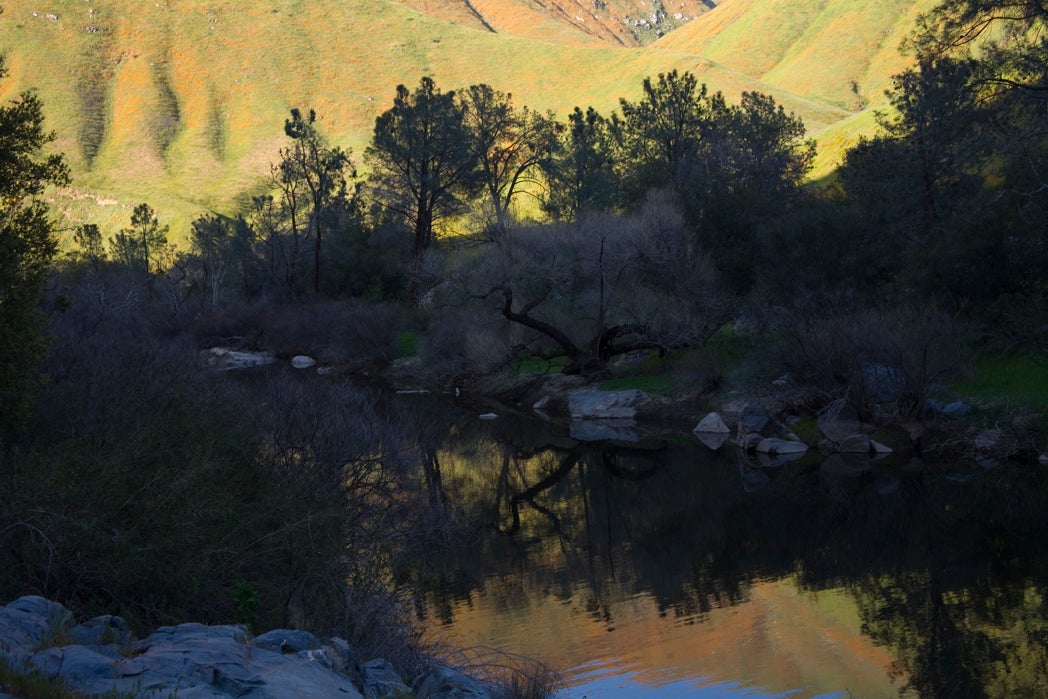 On The Kern River | MLTSHP