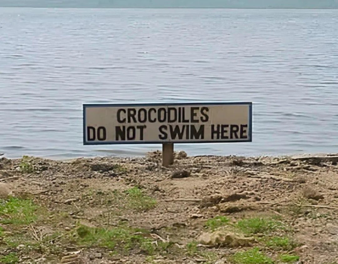 Instructions Unclear... Heading In | MLTSHP