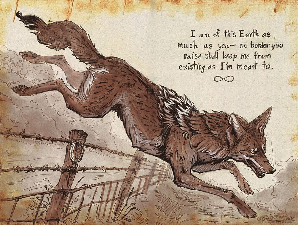 "Leaping into 2025 with audacity" Lydia @coyoteprince | MLTSHP