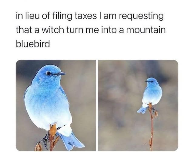 Not a big ask, right? | MLTSHP