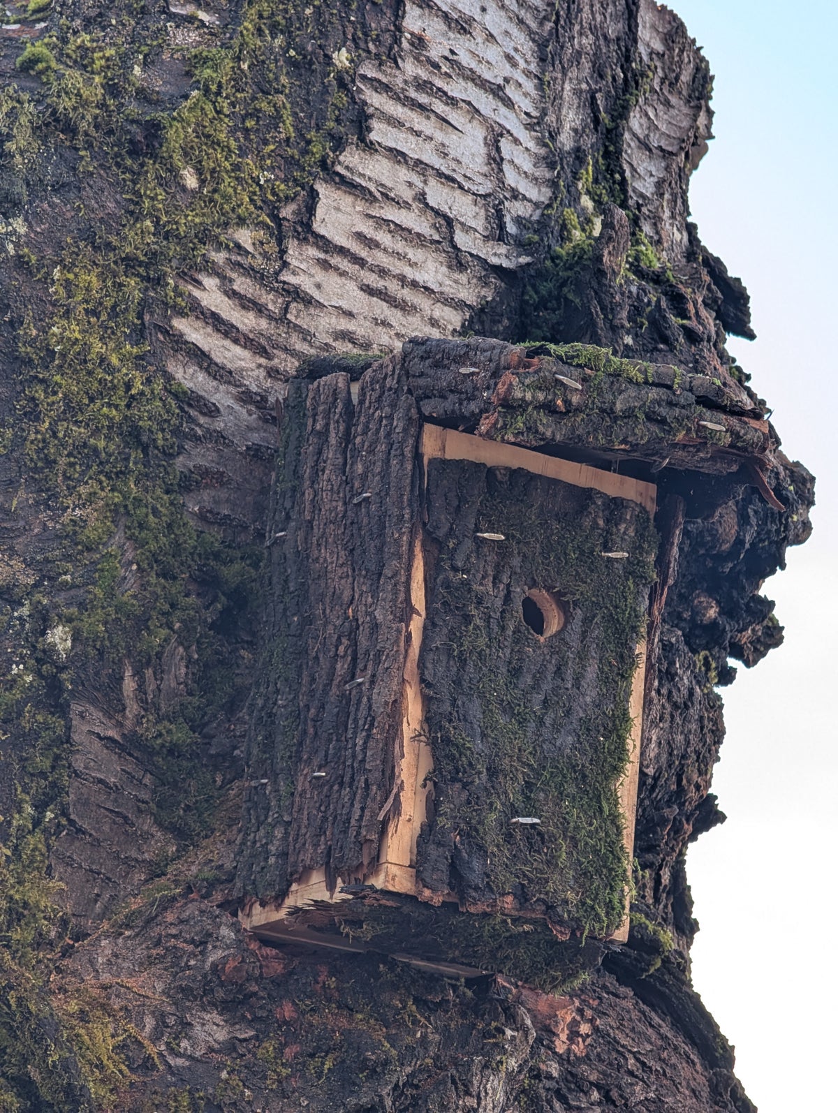 Today's project | MLTSHP