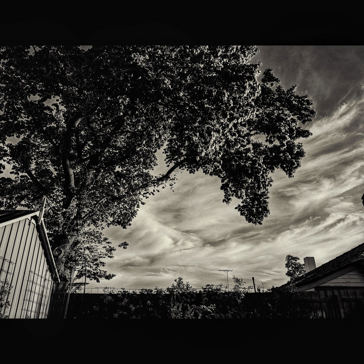 Luminous sky, 2023 | MLTSHP