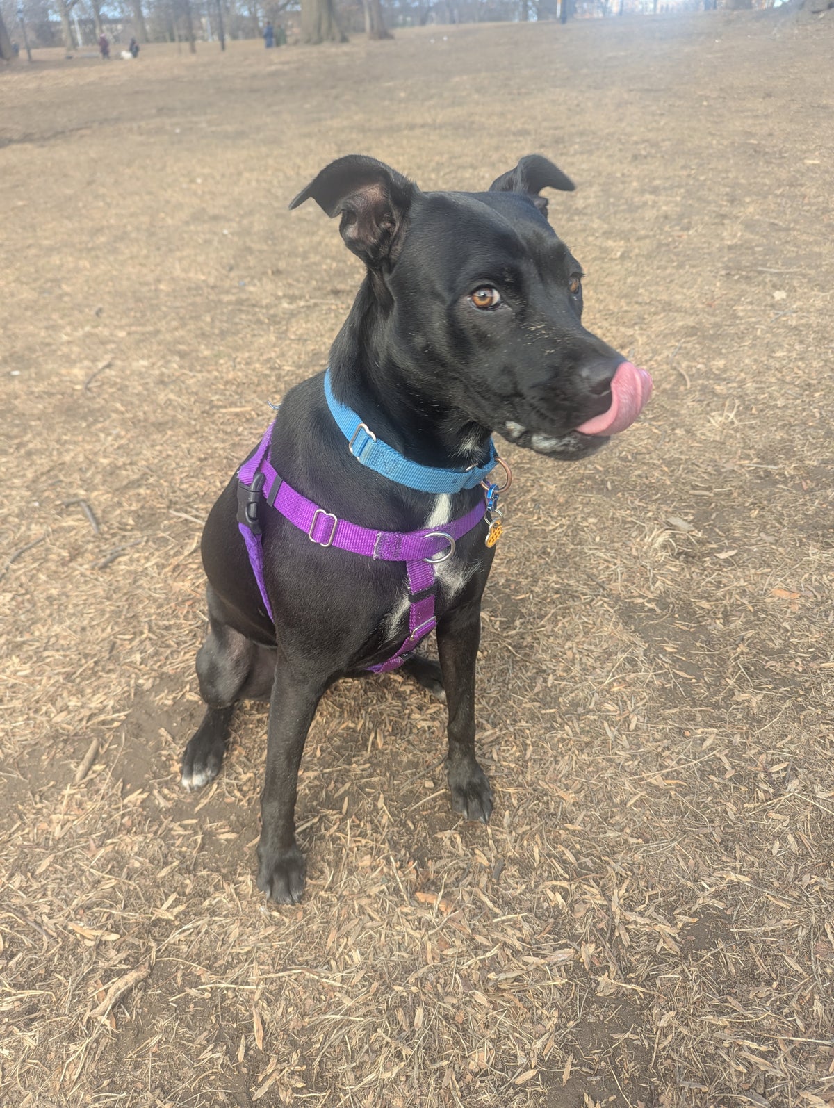 Feeling mischevous | MLTSHP