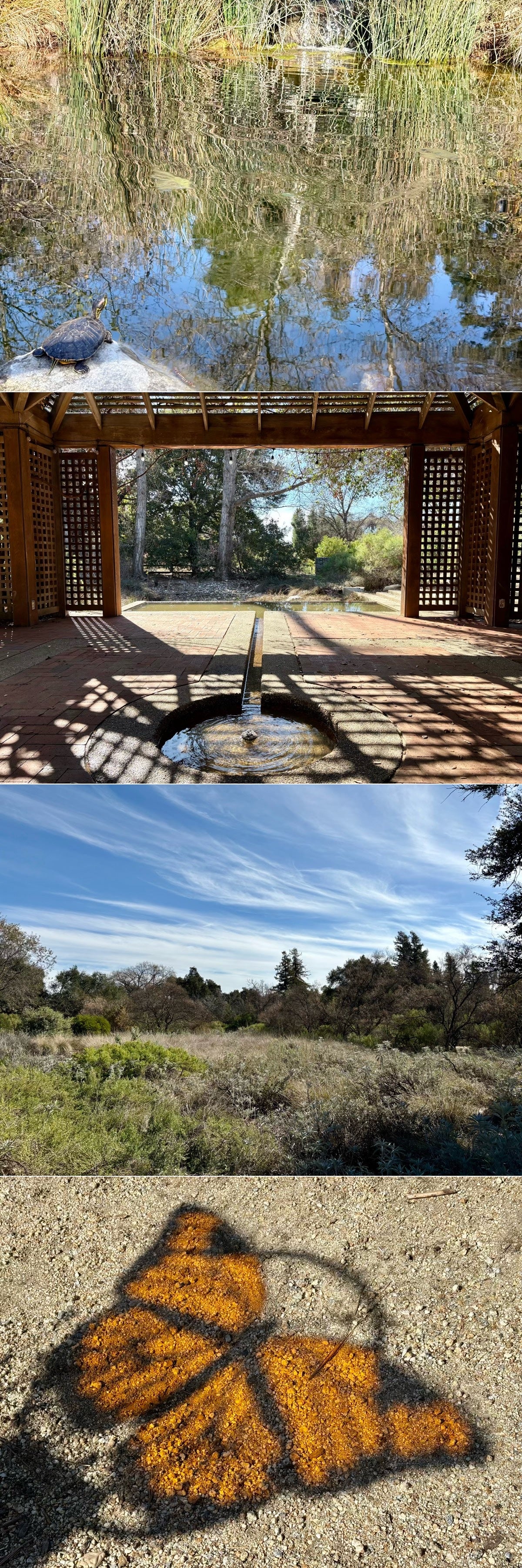 Another beautiful day in the garden. | MLTSHP