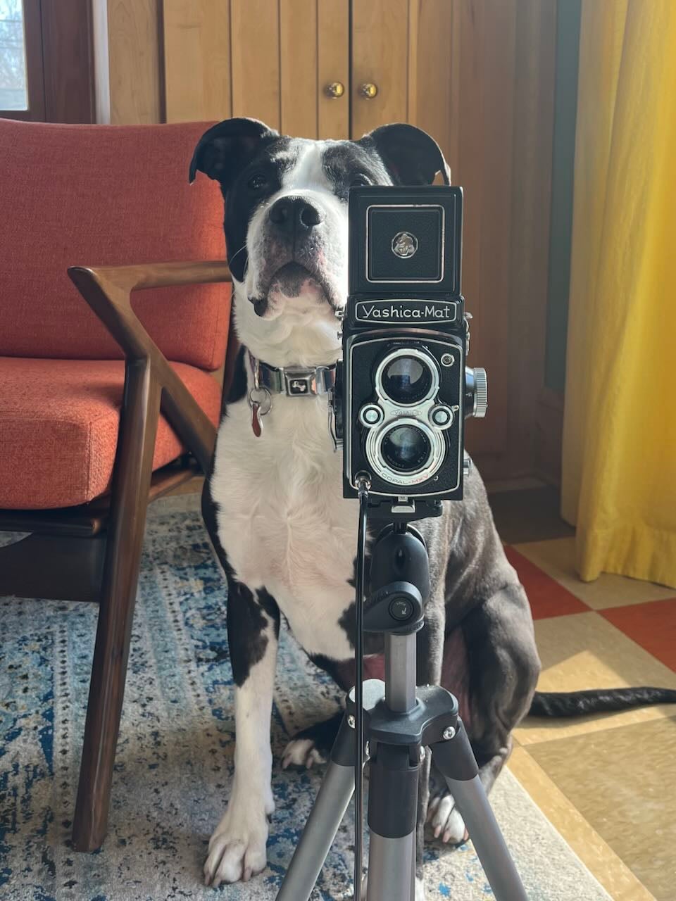 Get off the phone | MLTSHP