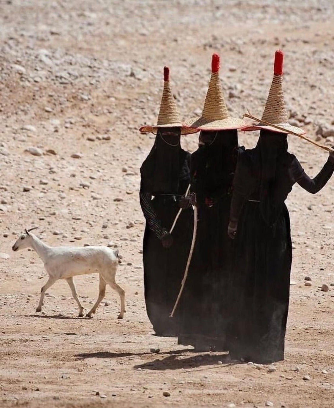 Goat herders of Hadhramaut, Yemen | MLTSHP