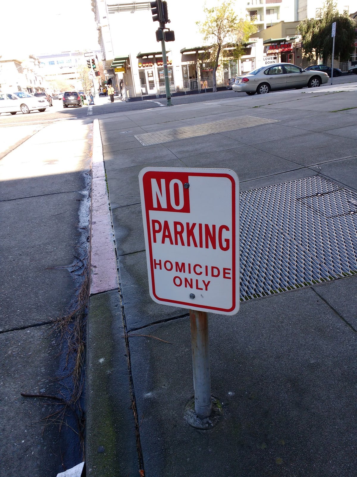 THEMS.THE.RULES | MLTSHP