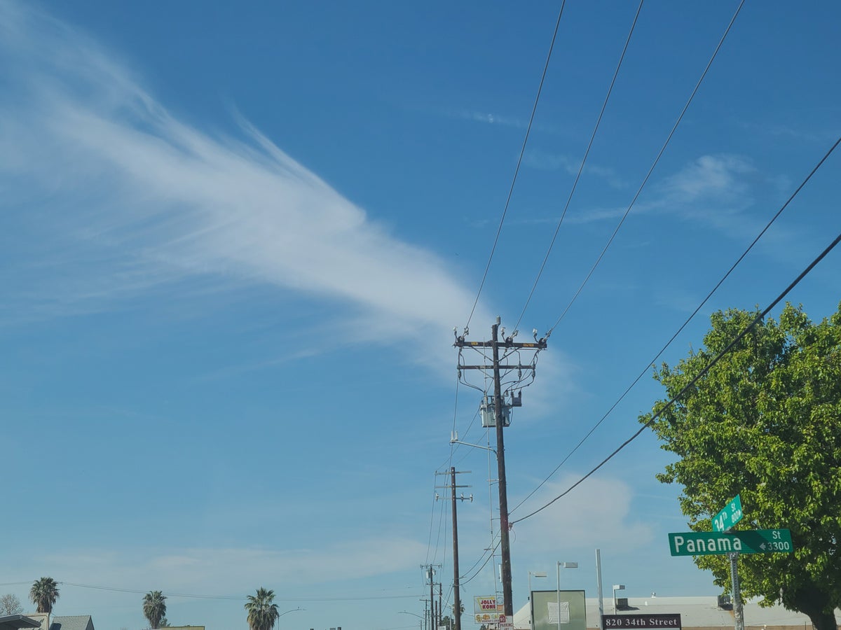 Horsetail For Sure... | MLTSHP