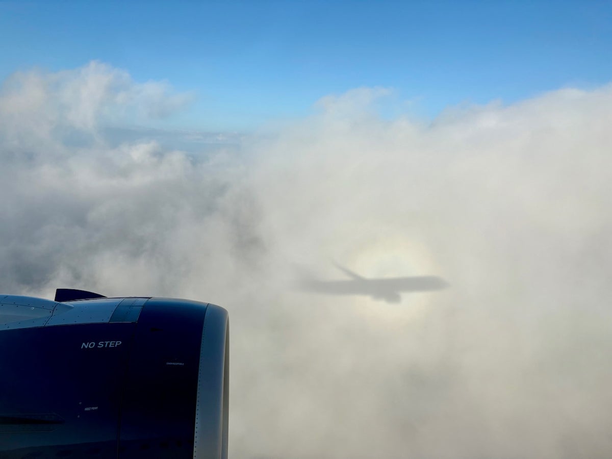 in the clouds | MLTSHP