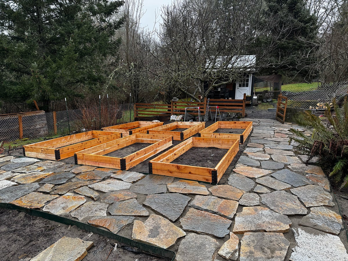 Garden Progress | MLTSHP