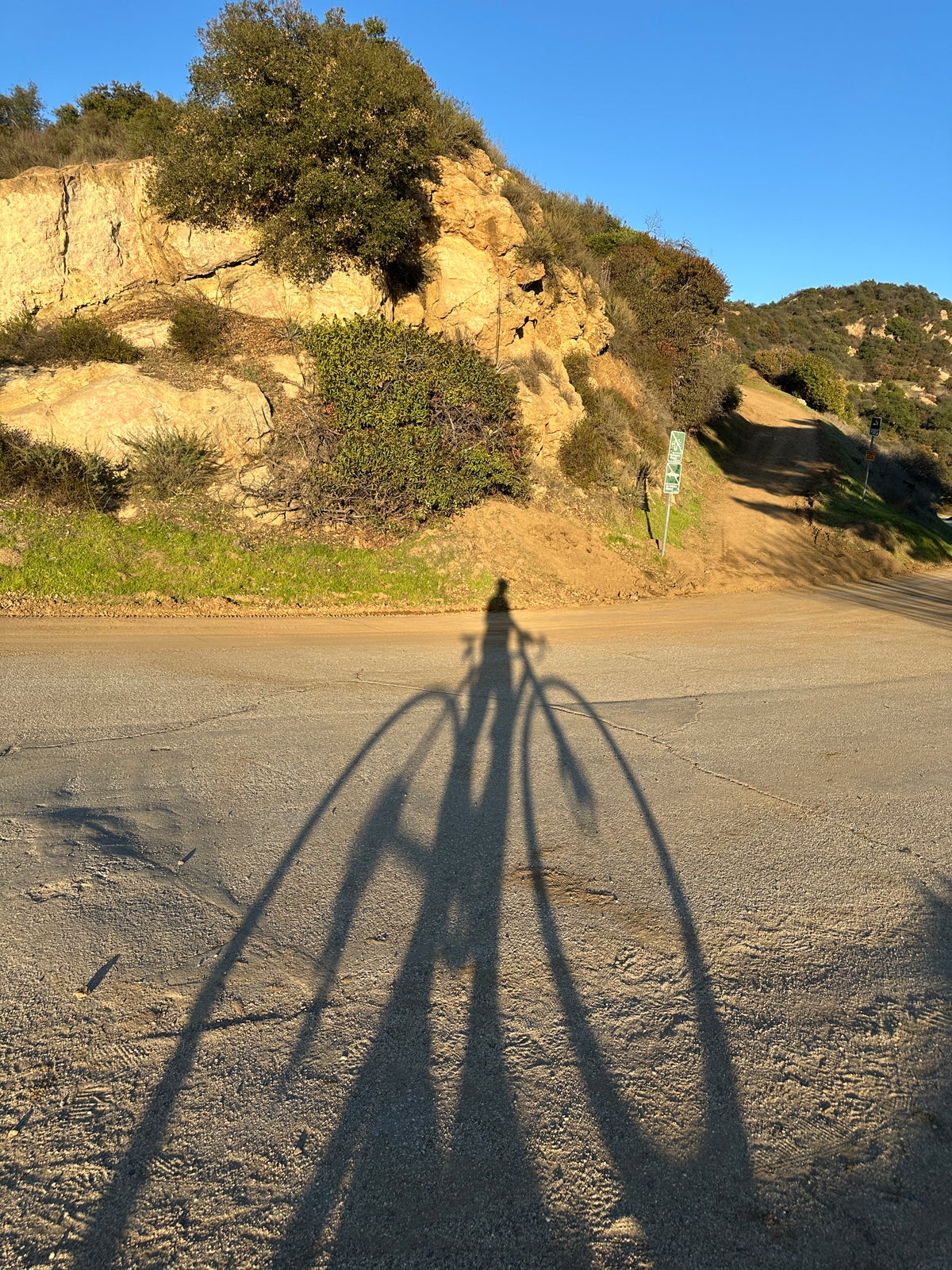 Quick ride up & down Trash Truck before sunset | MLTSHP
