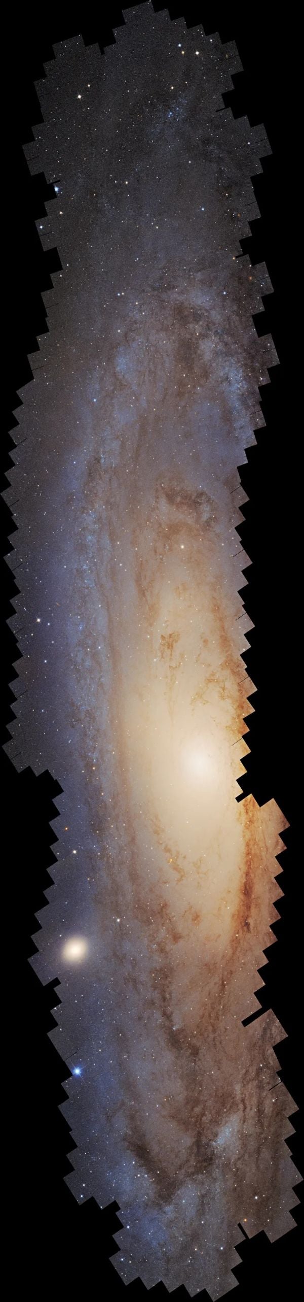 TOTAL PERSPECTIVE VORTEX | MLTSHP