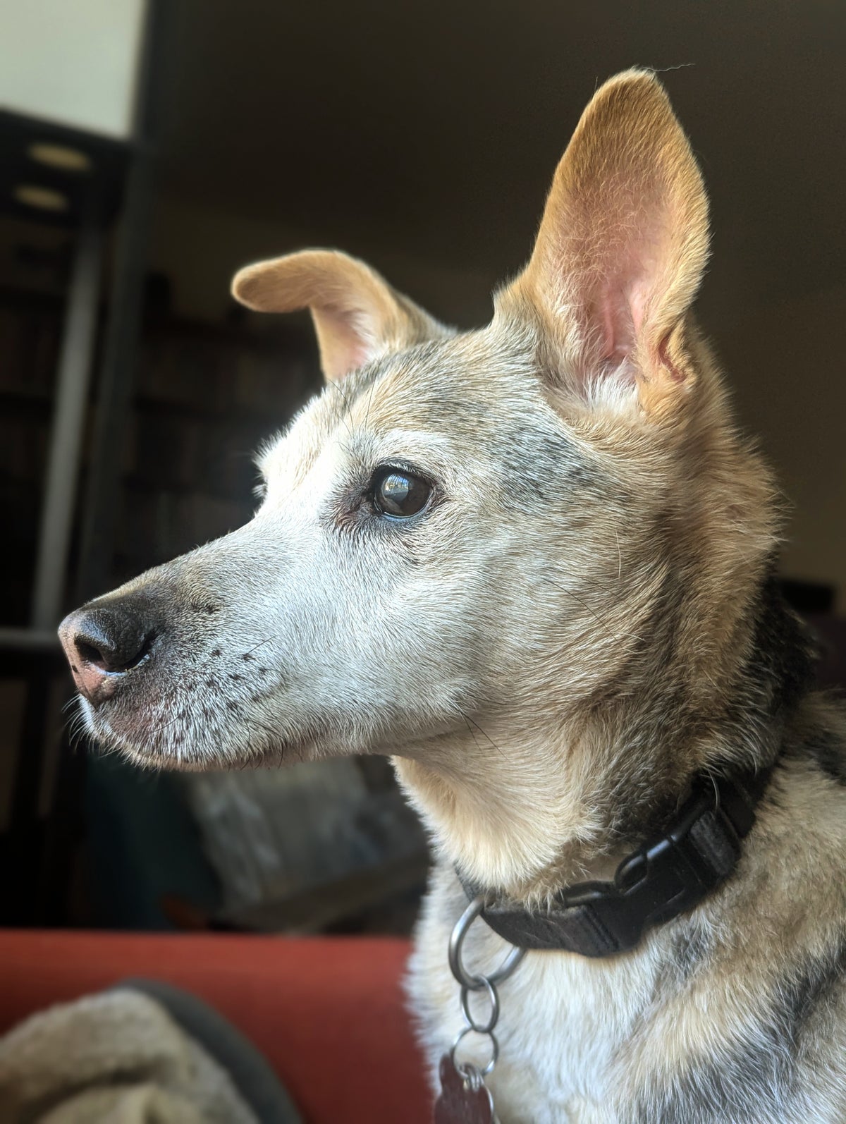 One Week After the Scare | MLTSHP