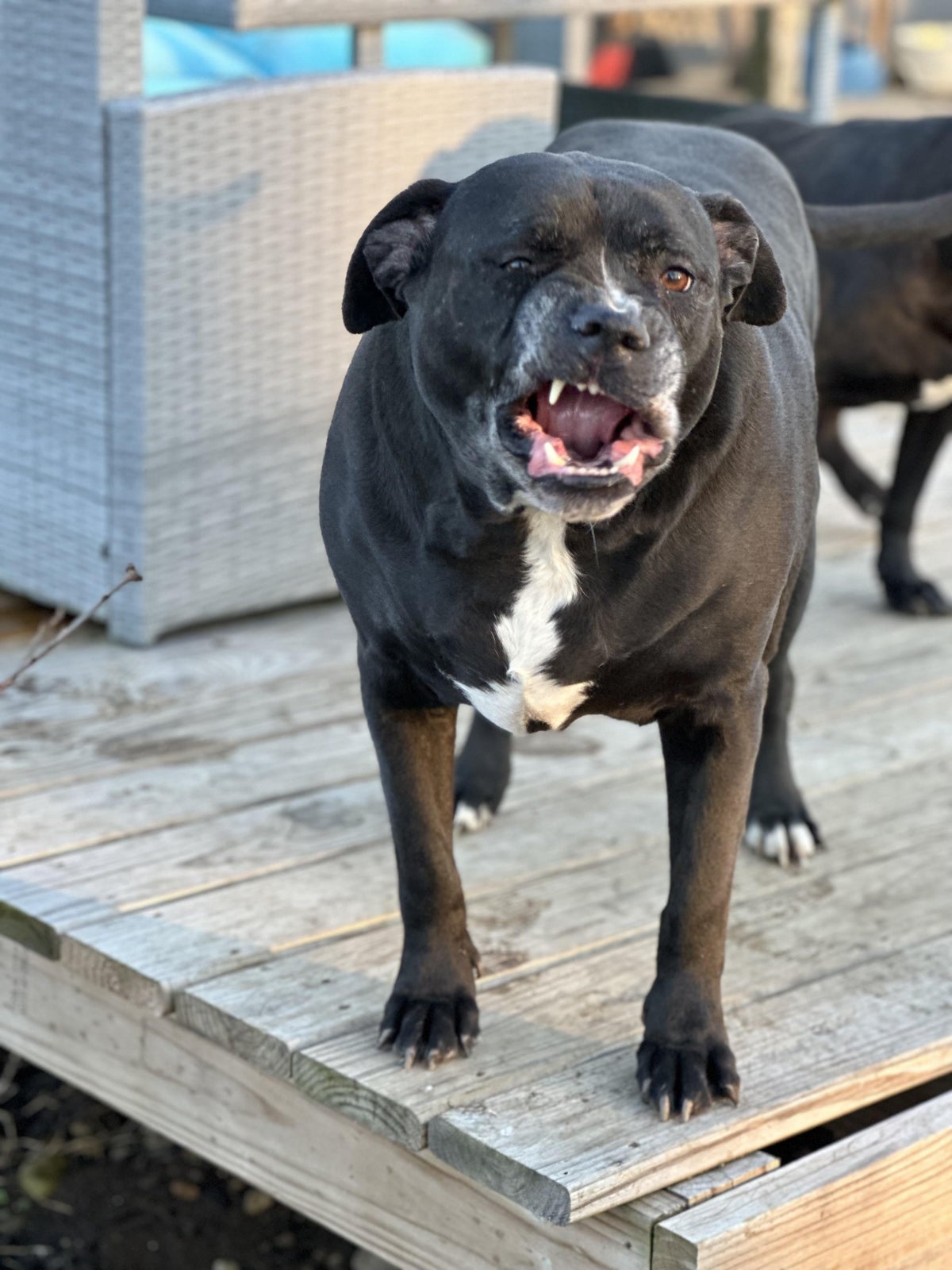 just saying hello | MLTSHP