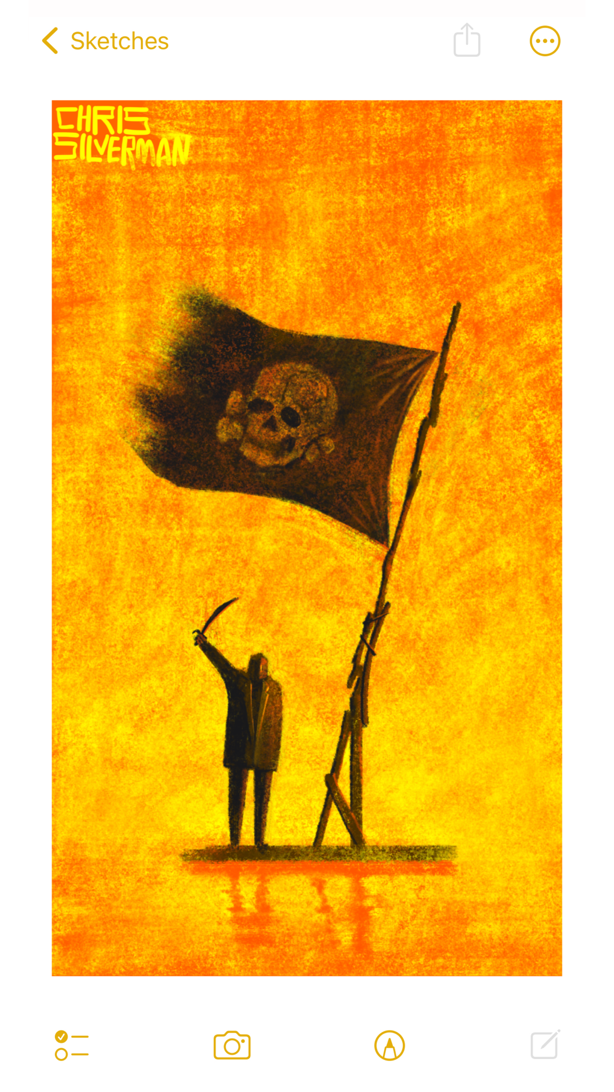 all flag and no parrot | MLTSHP