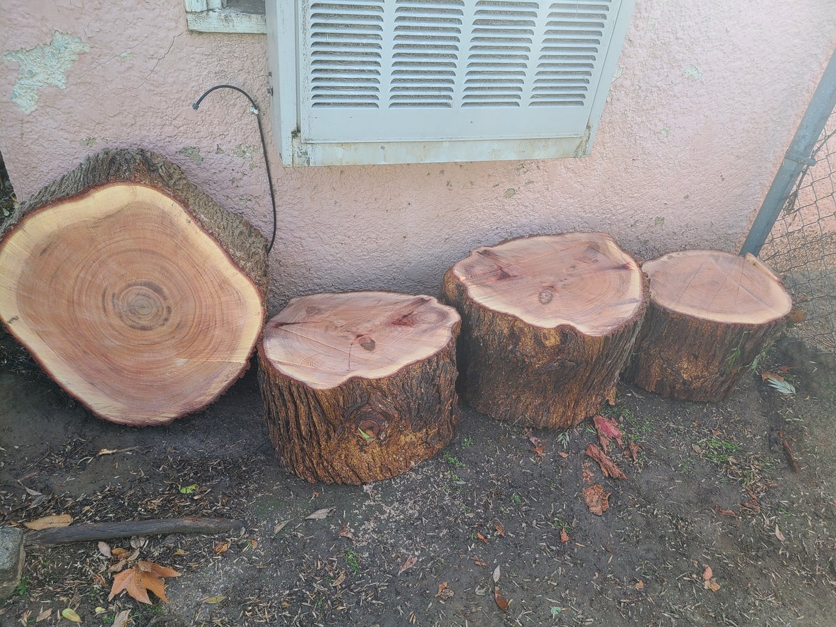 All Four Pieces | MLTSHP