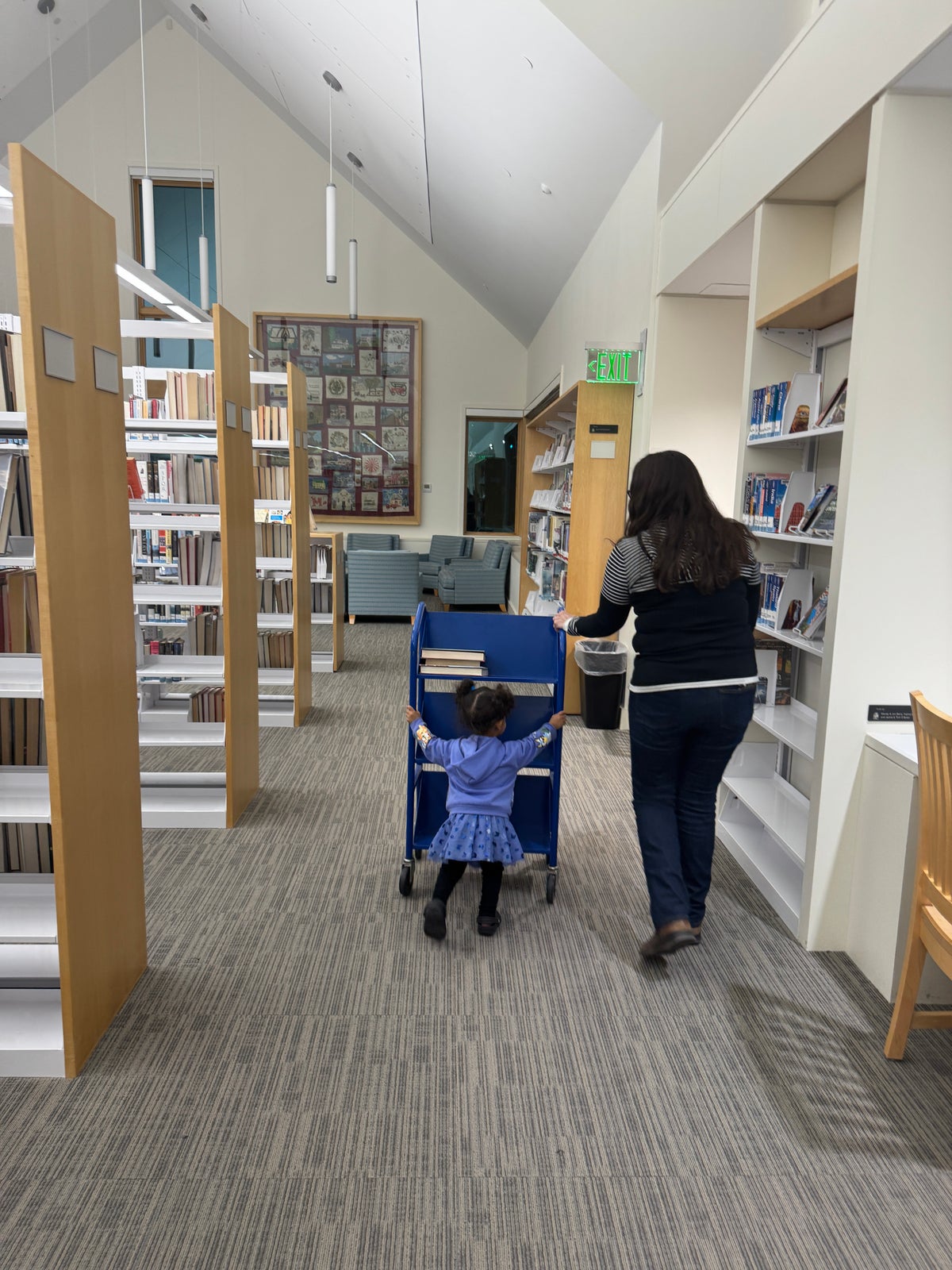 luna helping at the library | MLTSHP