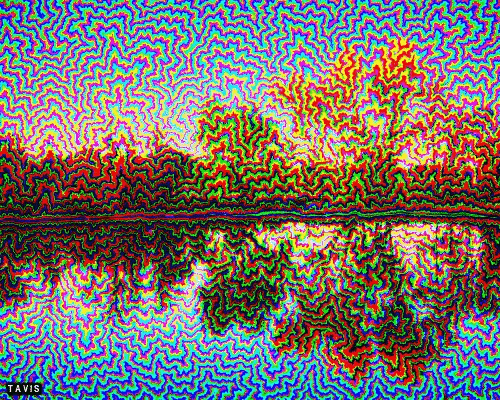 that one time | MLTSHP