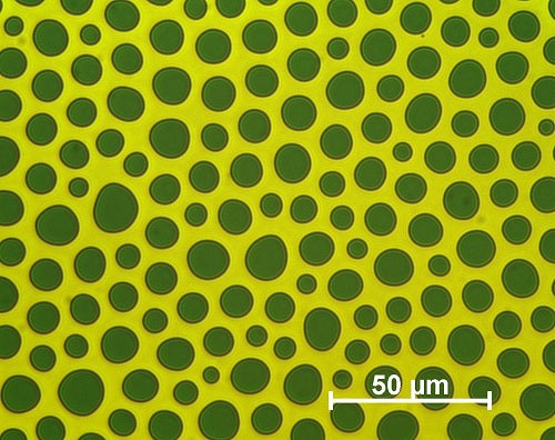 bubble memory | MLTSHP