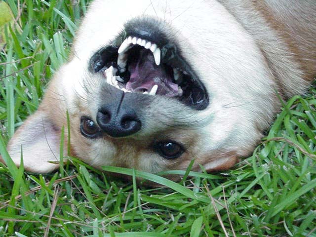 Earliest photo on my phone... | MLTSHP