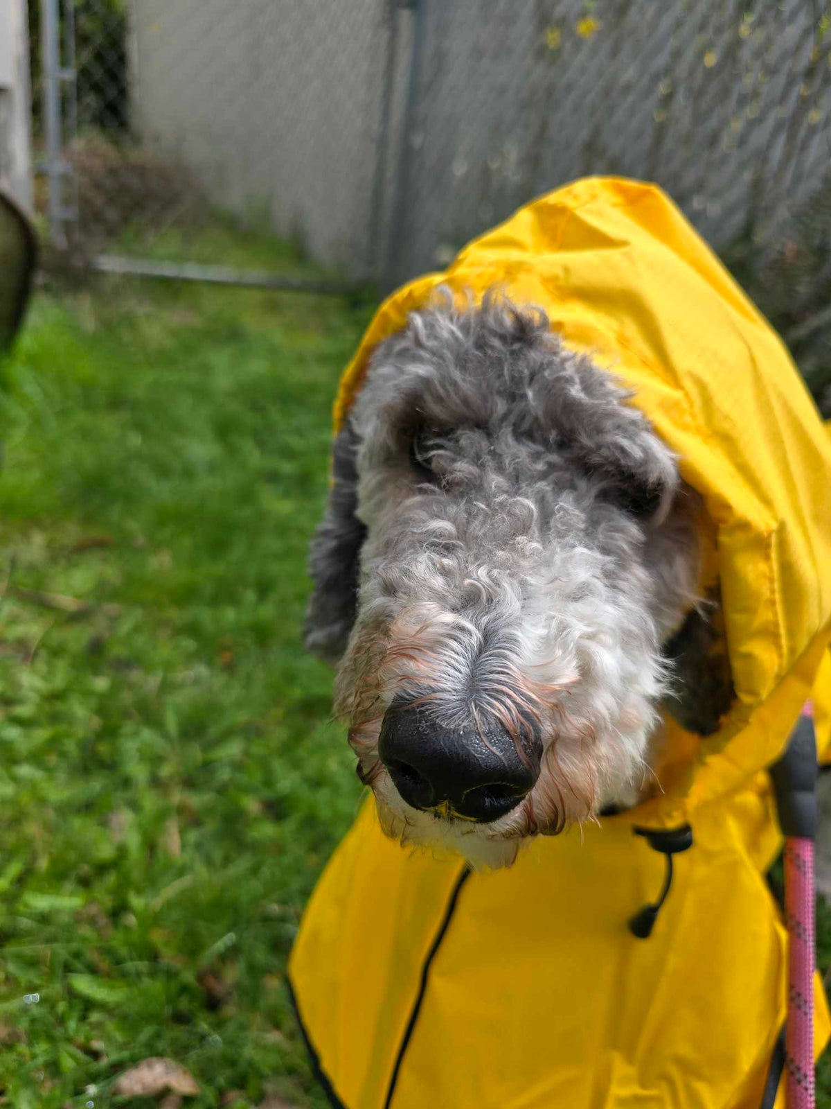 Getting ready for the rain | MLTSHP