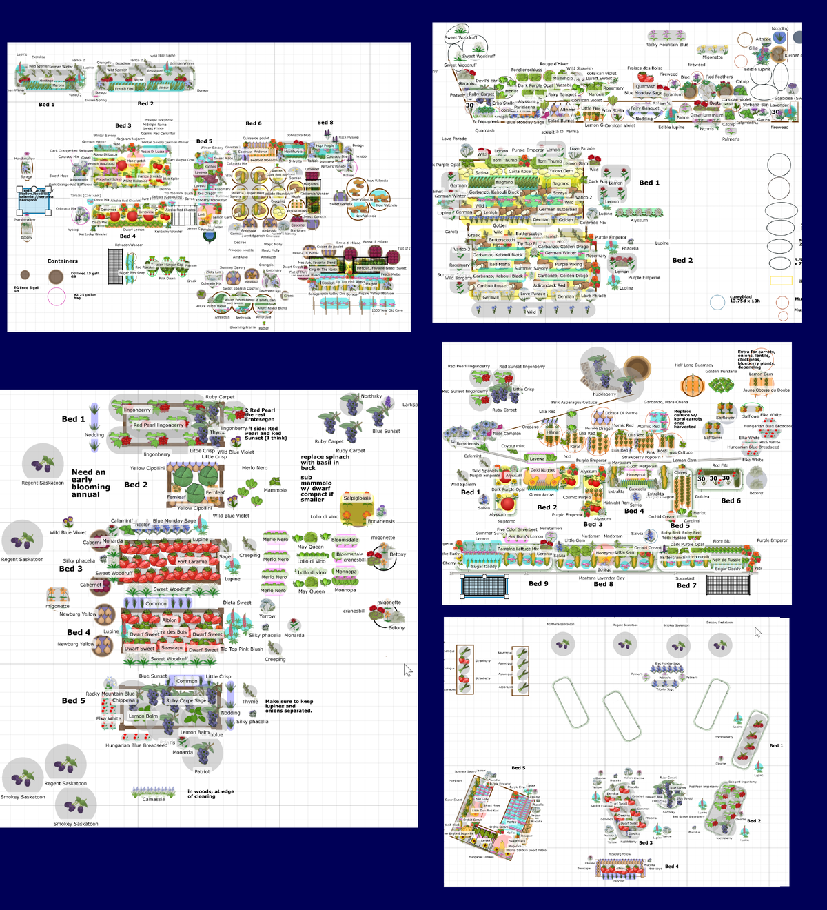 So it begins (2/3): planned garden | MLTSHP