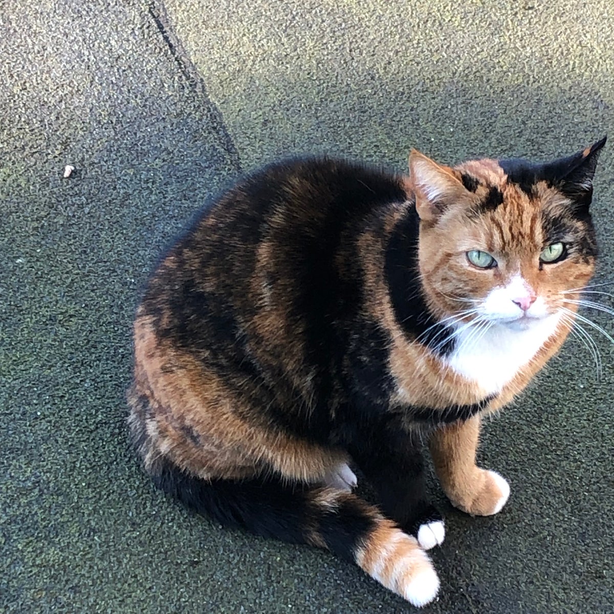 expectations not met | MLTSHP