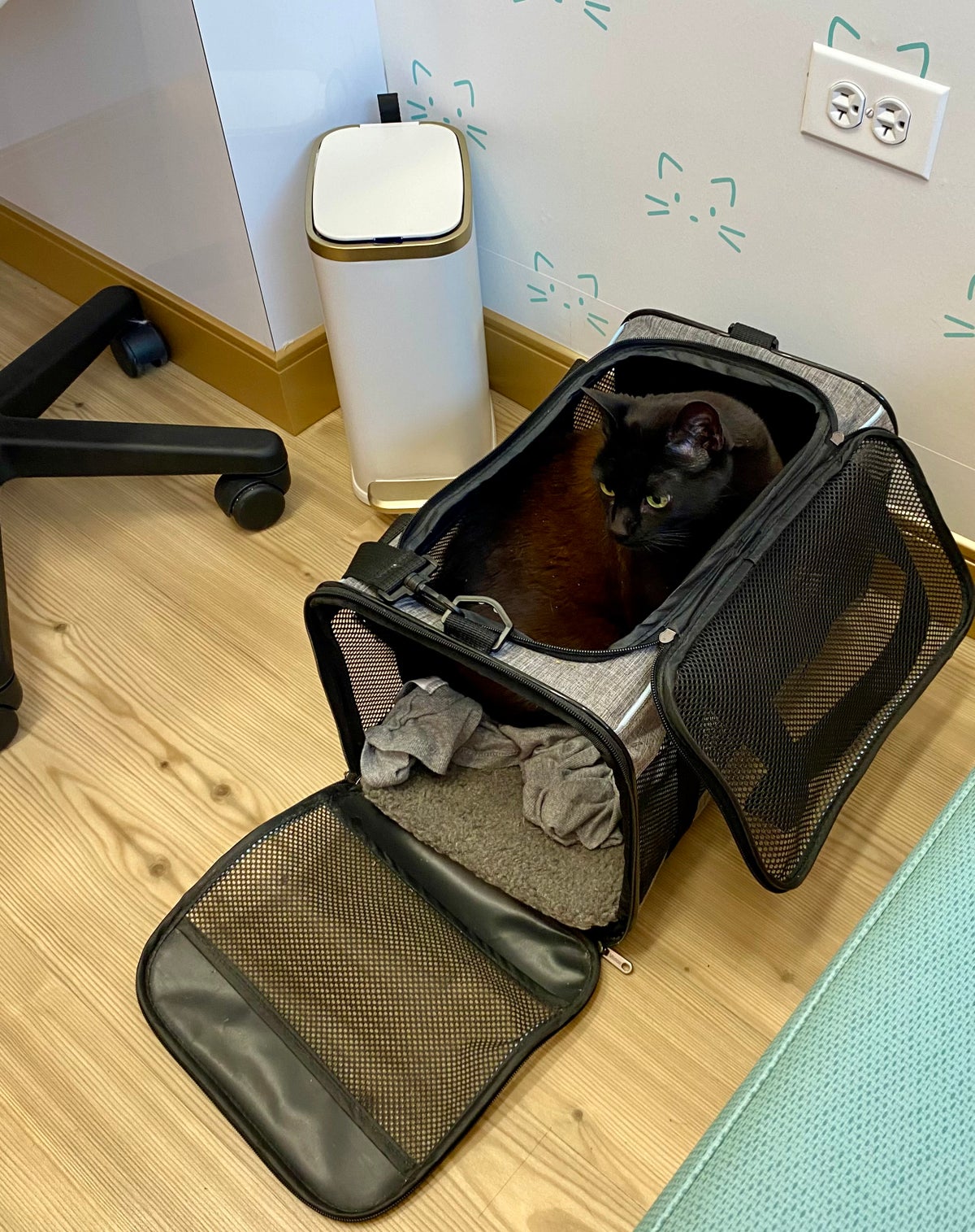 Can I just do the exam from here? | MLTSHP