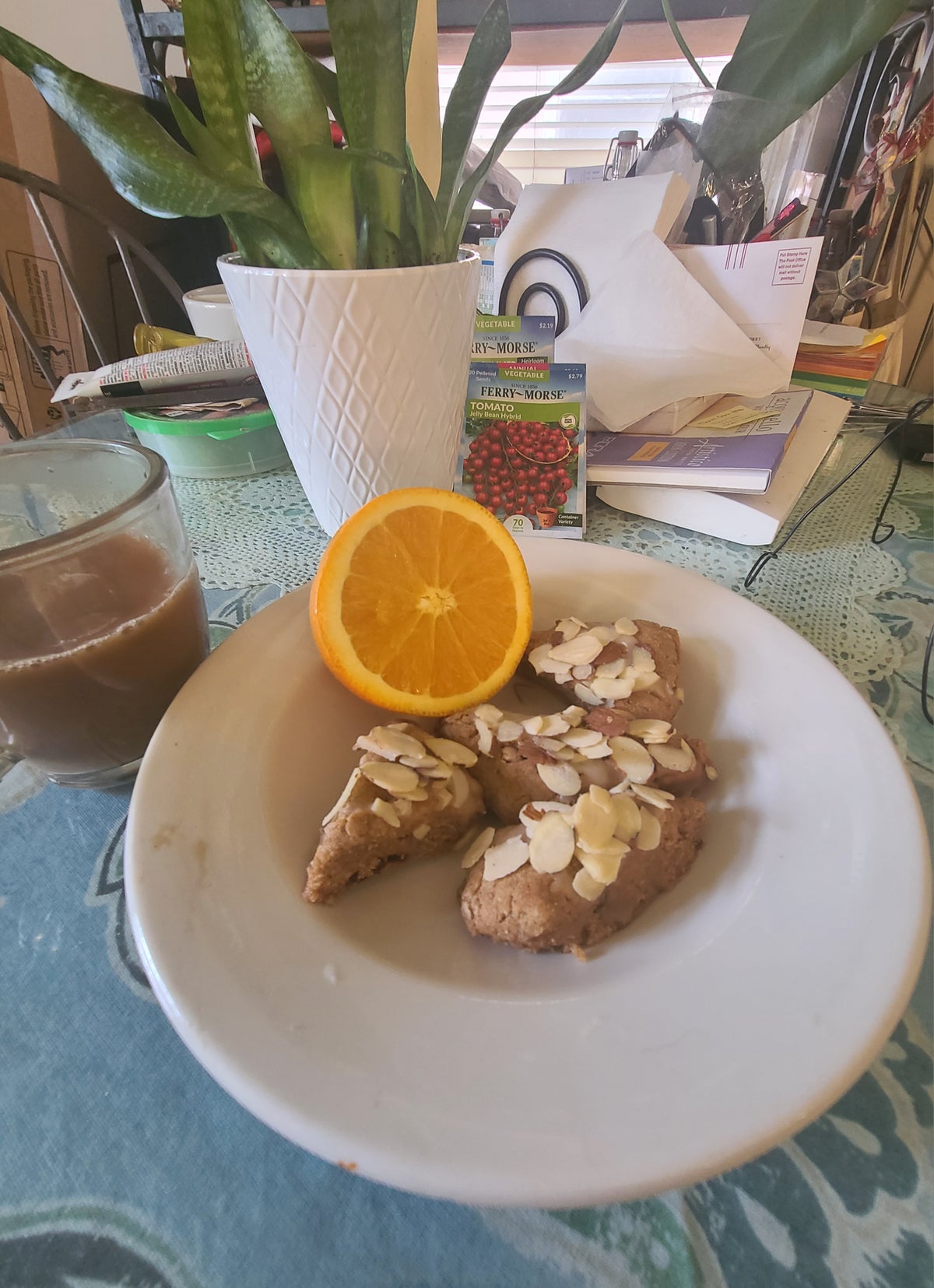 Do Not Be Fooled! | MLTSHP