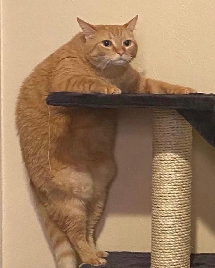 where everybody knows your name | MLTSHP