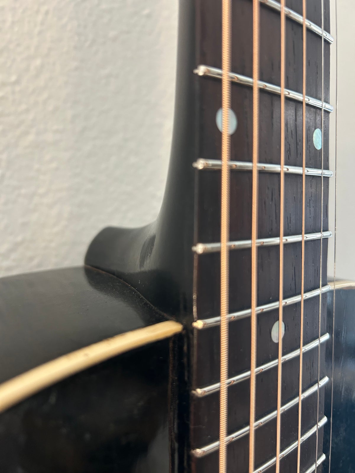 New fret day! | MLTSHP