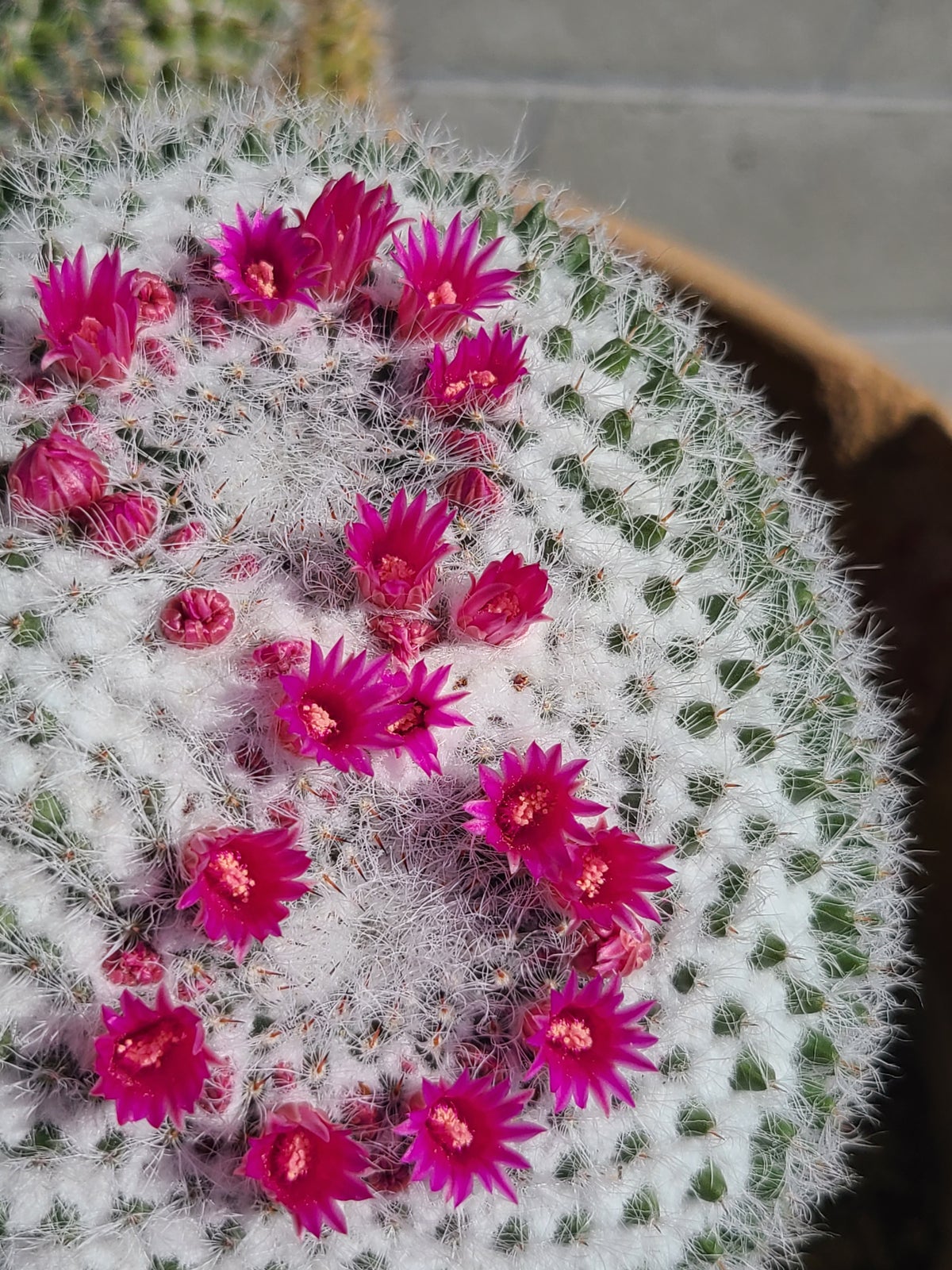 I Forgot About These... | MLTSHP