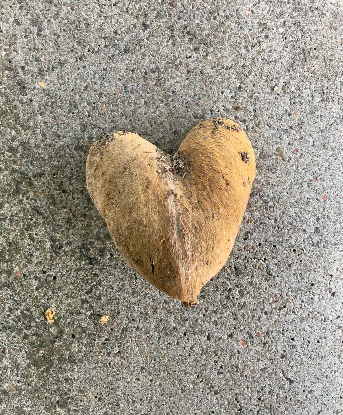 I got a love note from a tree. | MLTSHP
