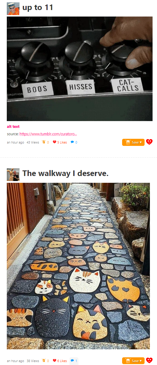 pair of meows | MLTSHP