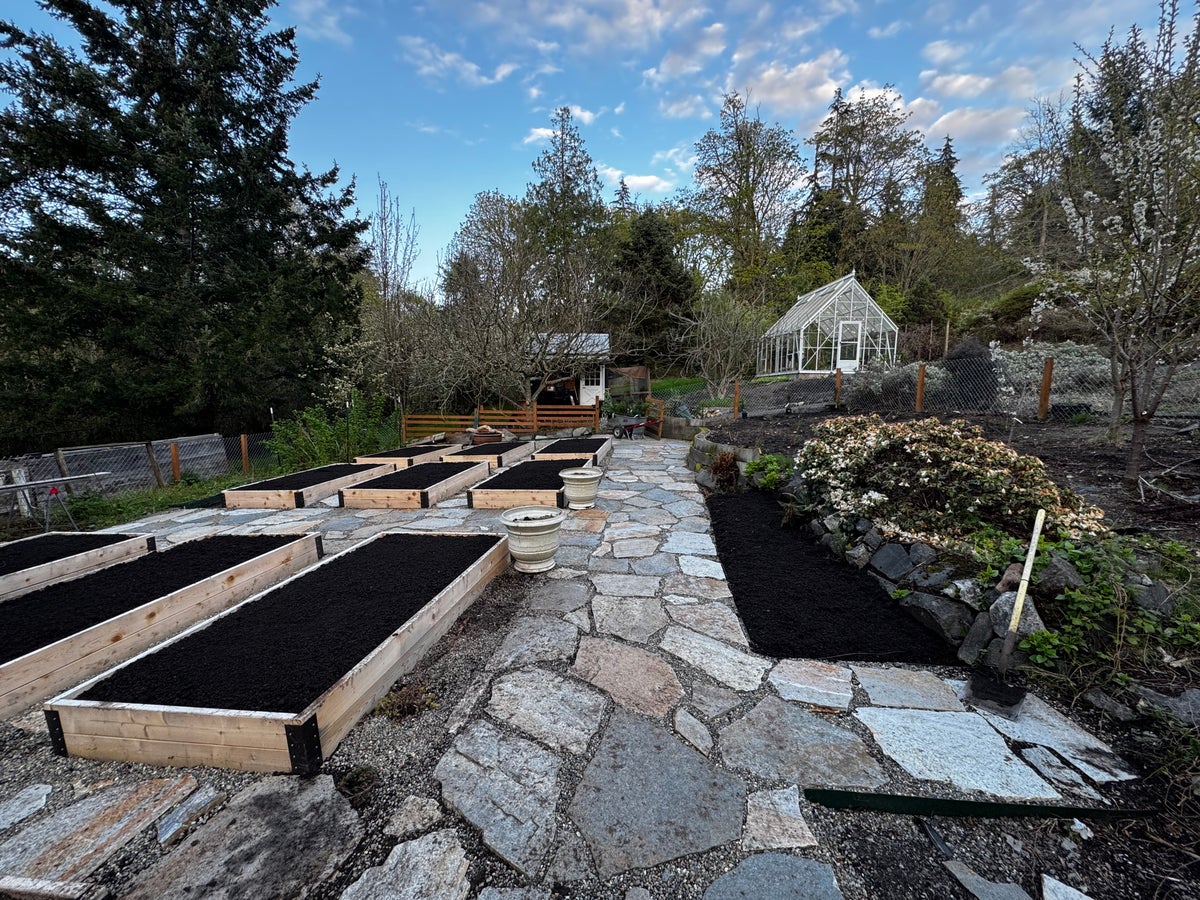 Garden Update | MLTSHP