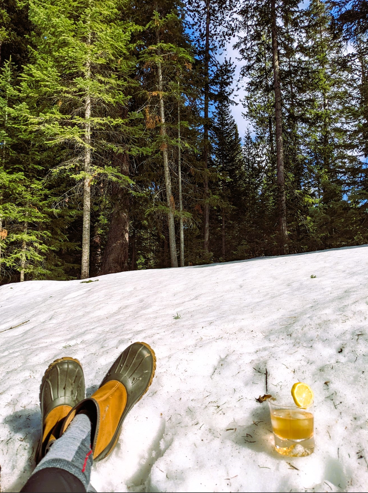 blue bird day/apres work | MLTSHP