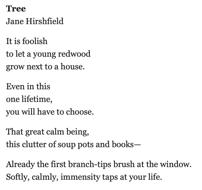 Tree (Jane Hirshfield) | MLTSHP