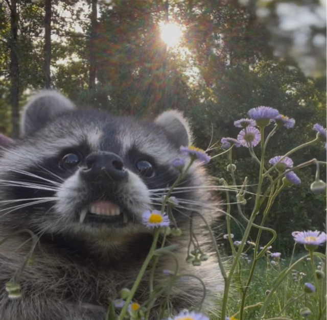 have an ungovernable wednesday | MLTSHP