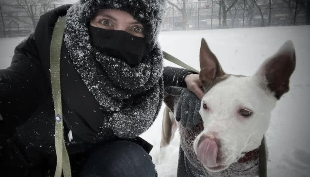 Please help my friend if you can | MLTSHP