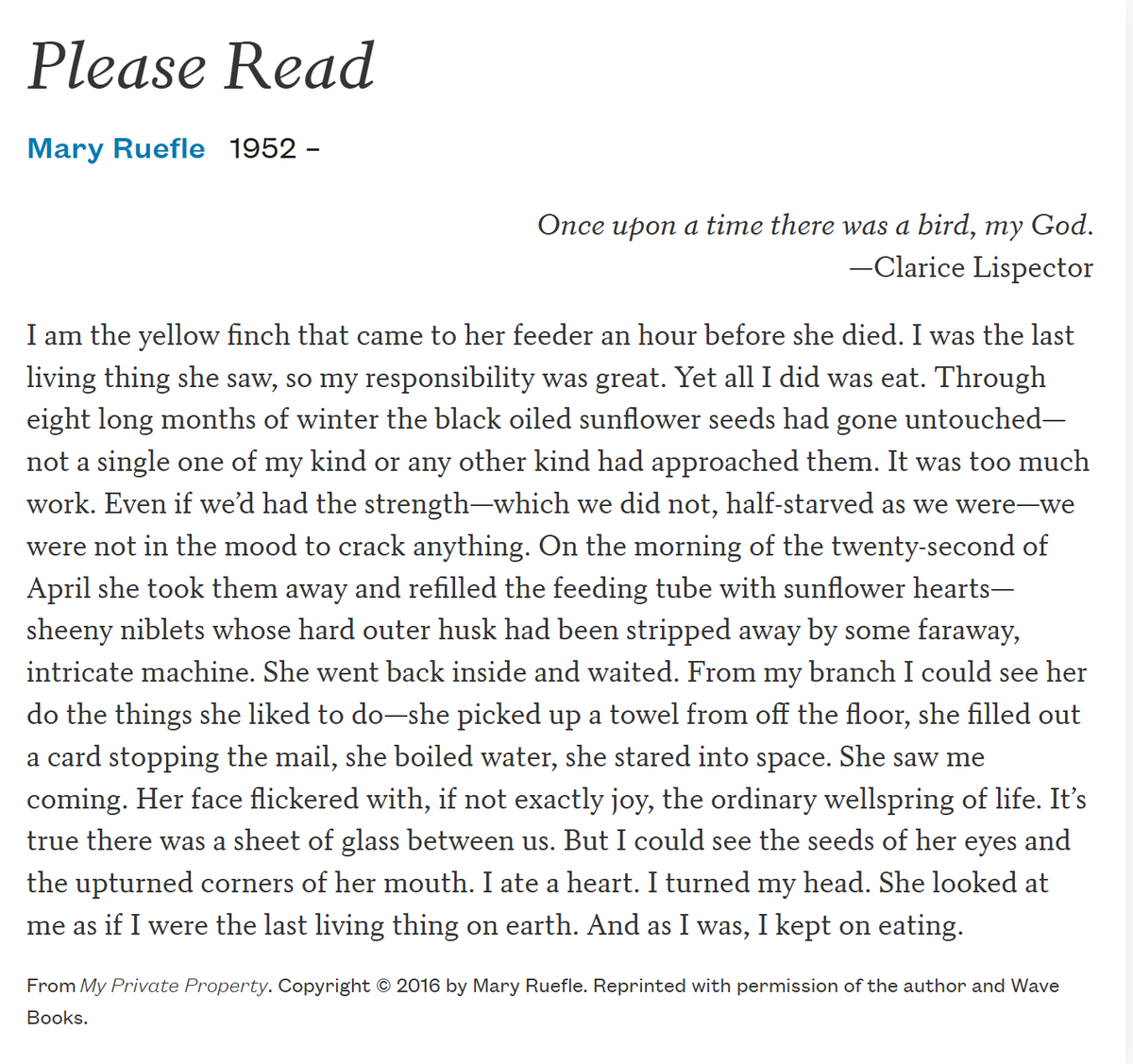 "Please Read" Mary Ruefle | MLTSHP