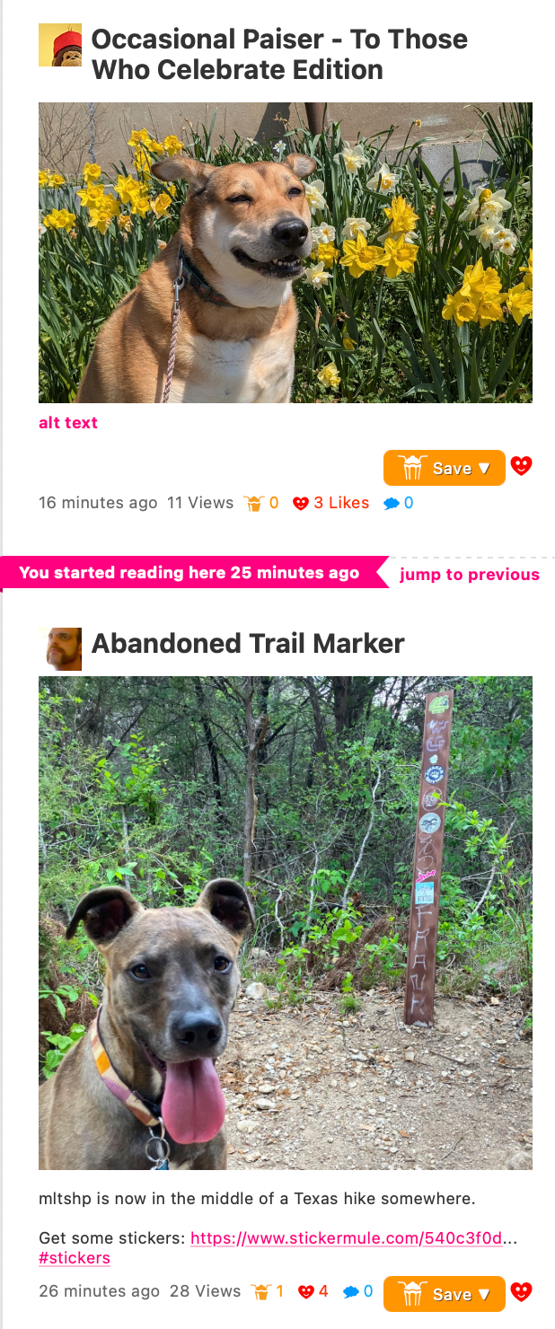 Pair of Puppers | MLTSHP