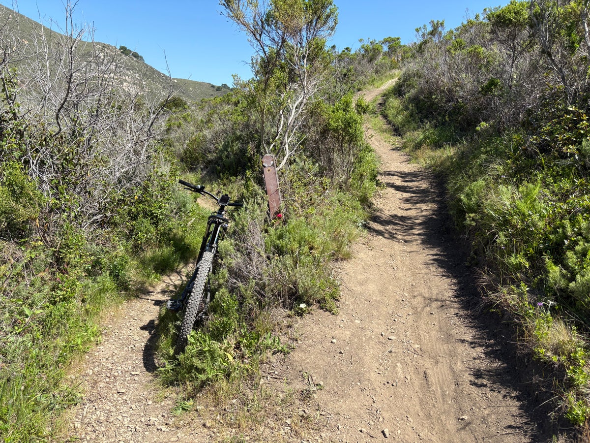 I took the path less steep | MLTSHP