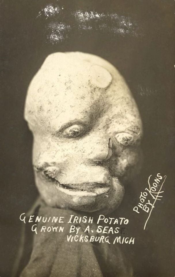 how your email finds me | MLTSHP