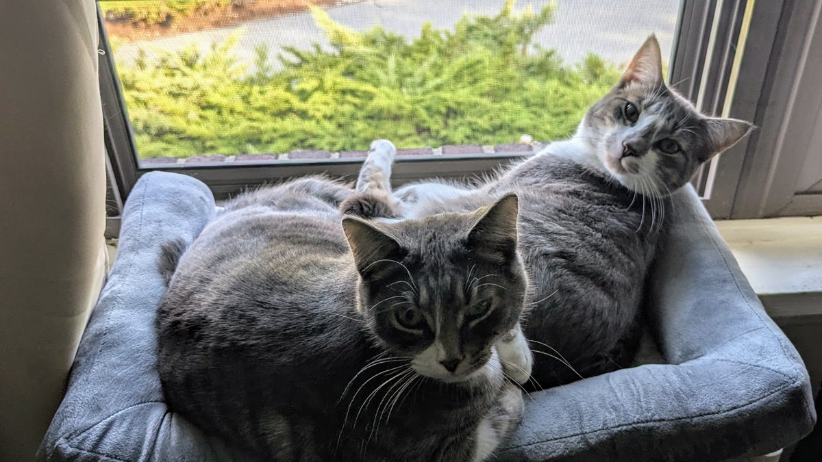 HBD to these weirdos | MLTSHP