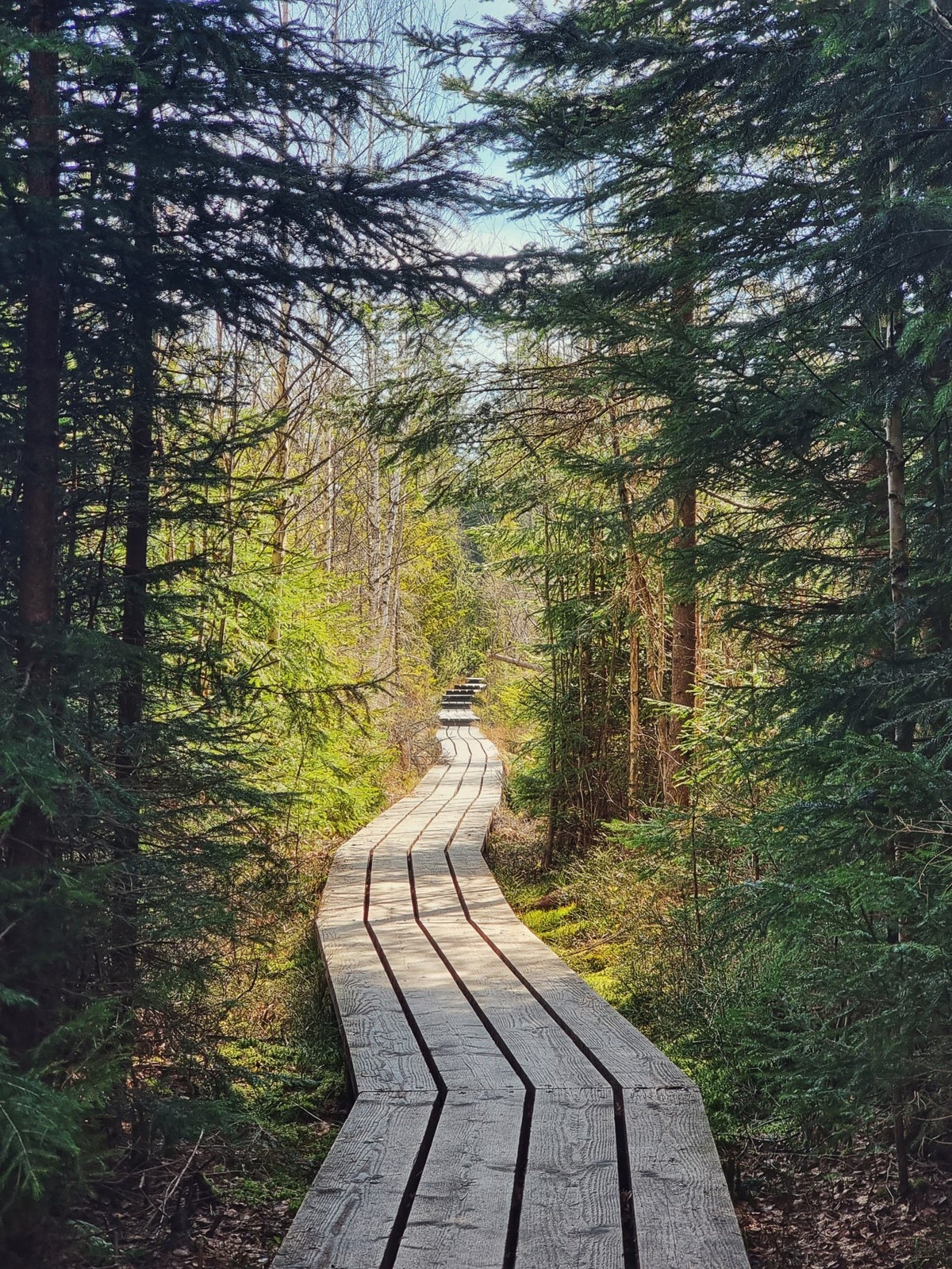 do not stray from the path | MLTSHP