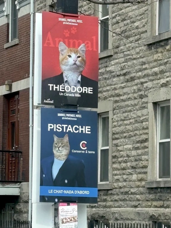 Election time in Montréal | MLTSHP