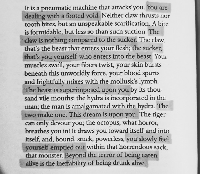 victor hugo describing an octopus | MLTSHP