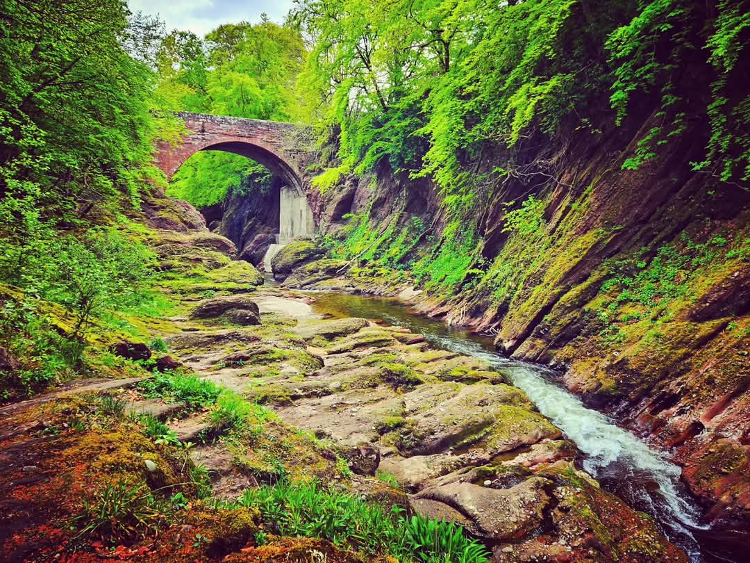 Hello From Scotland | MLTSHP